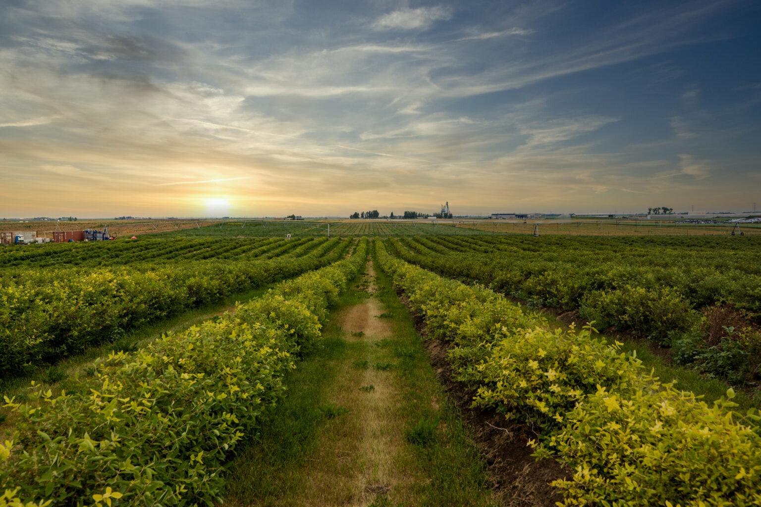Media & Publications - Economic Development Lethbridge